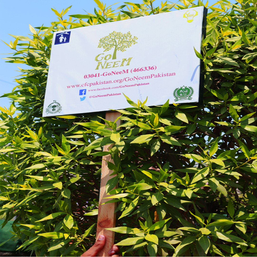 Go Neem Project - CFC Pakistan